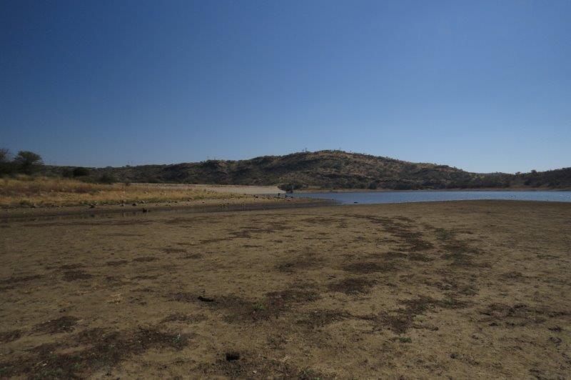 Avis Dam – BirdLife eThekwini KZN