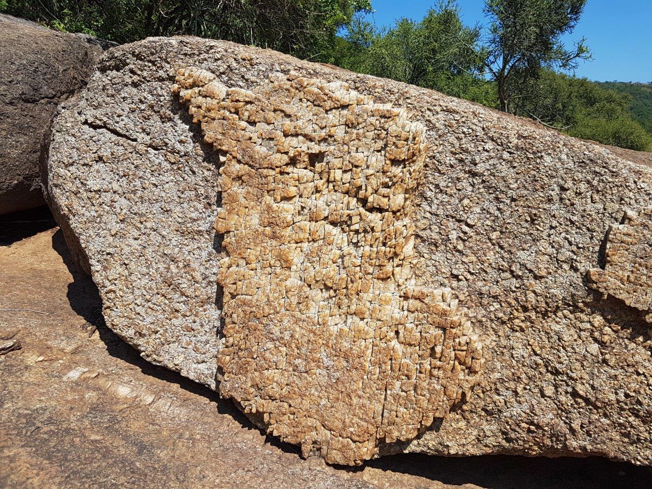 KwaXimba Conservancy Outing – BirdLife eThekwini KZN