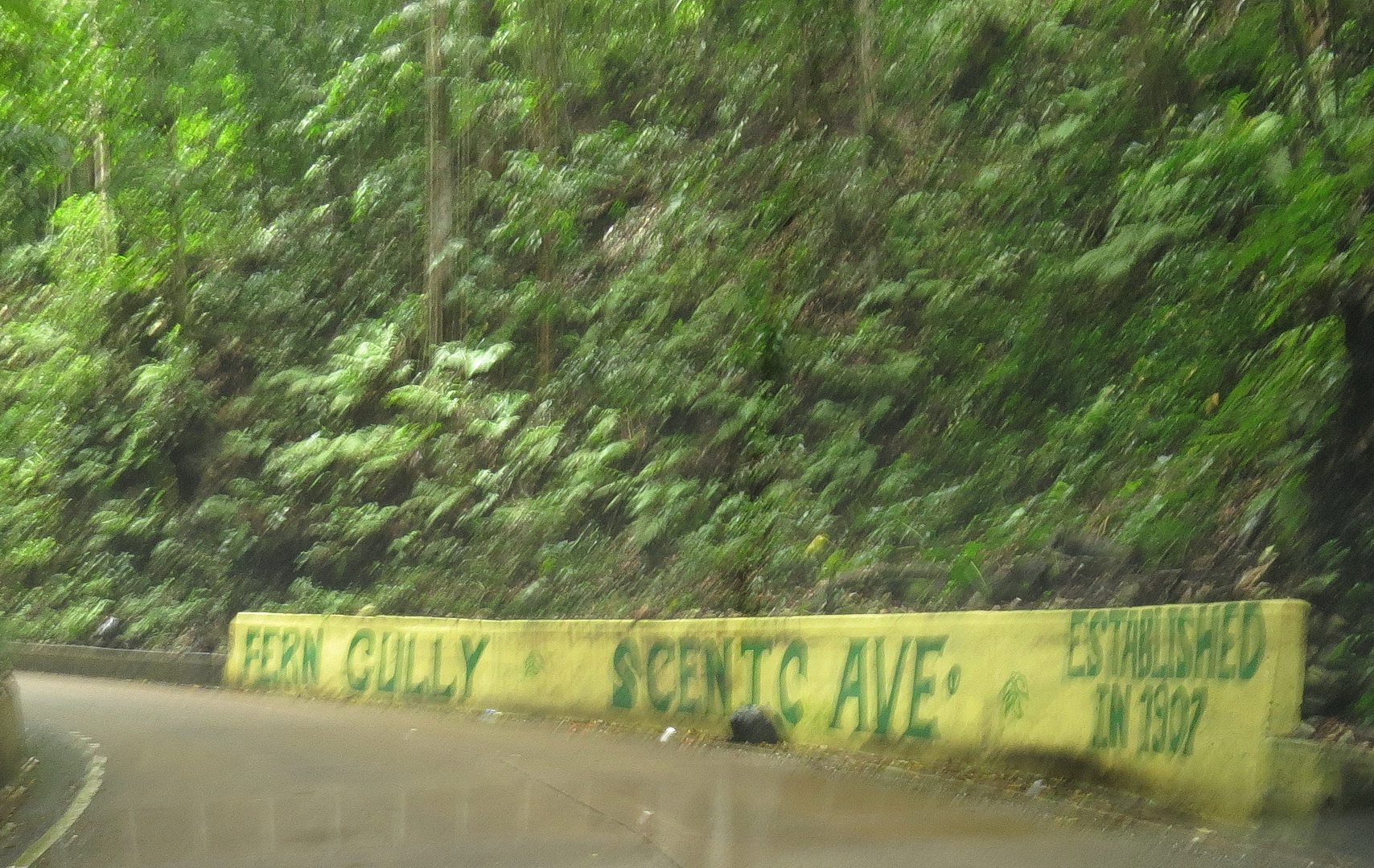 Fern Gully – BirdLife eThekwini KZN