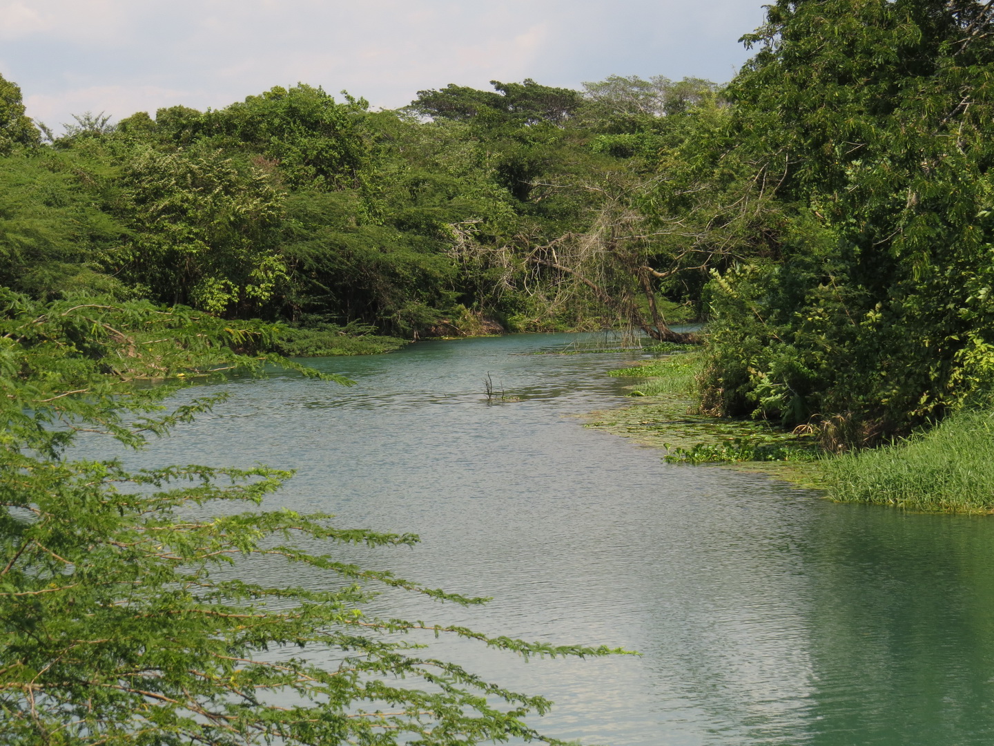 Yet another river – BirdLife eThekwini KZN