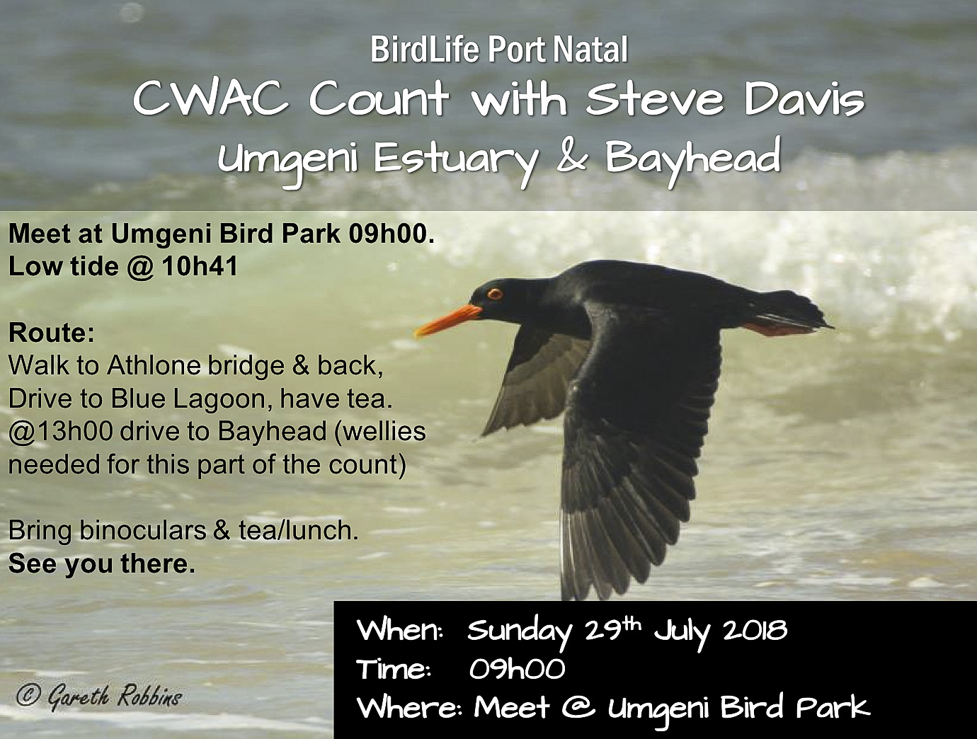 CWAC Count_Sunday 29th July 2018 – BirdLife eThekwini KZN