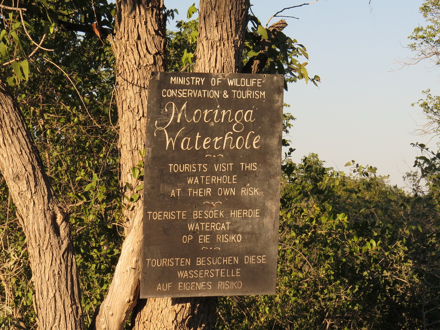 Moringa sign – BirdLife eThekwini KZN