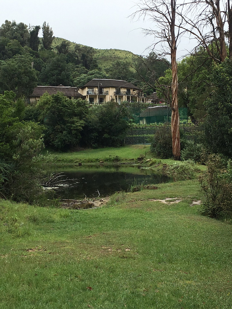 img-1401 – BirdLife eThekwini KZN