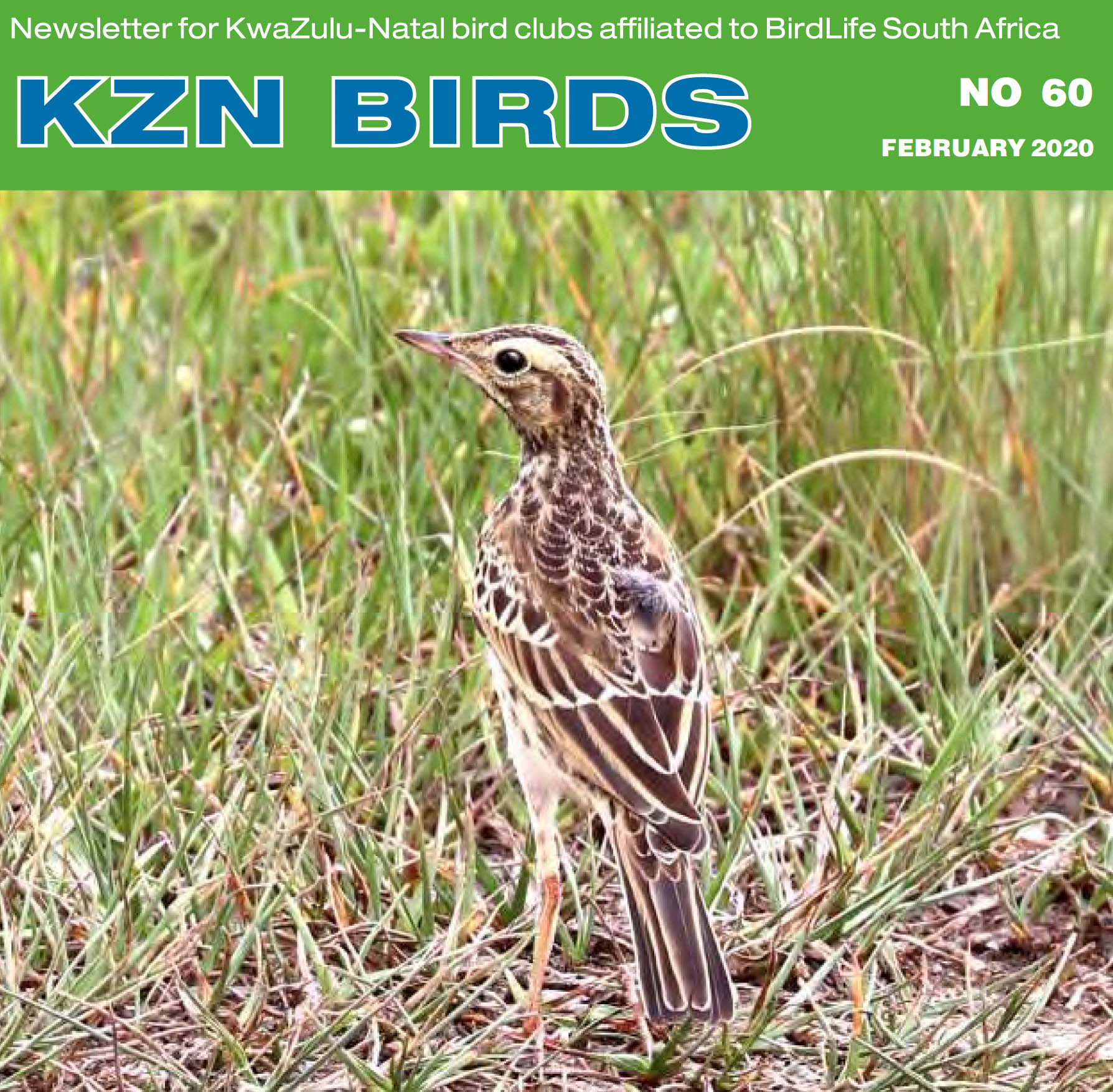 KZNB60 – BirdLife eThekwini KZN