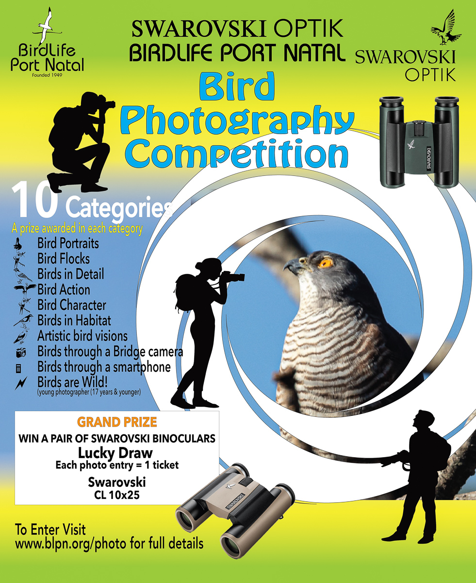 Birds are Wild! – BirdLife eThekwini KZN