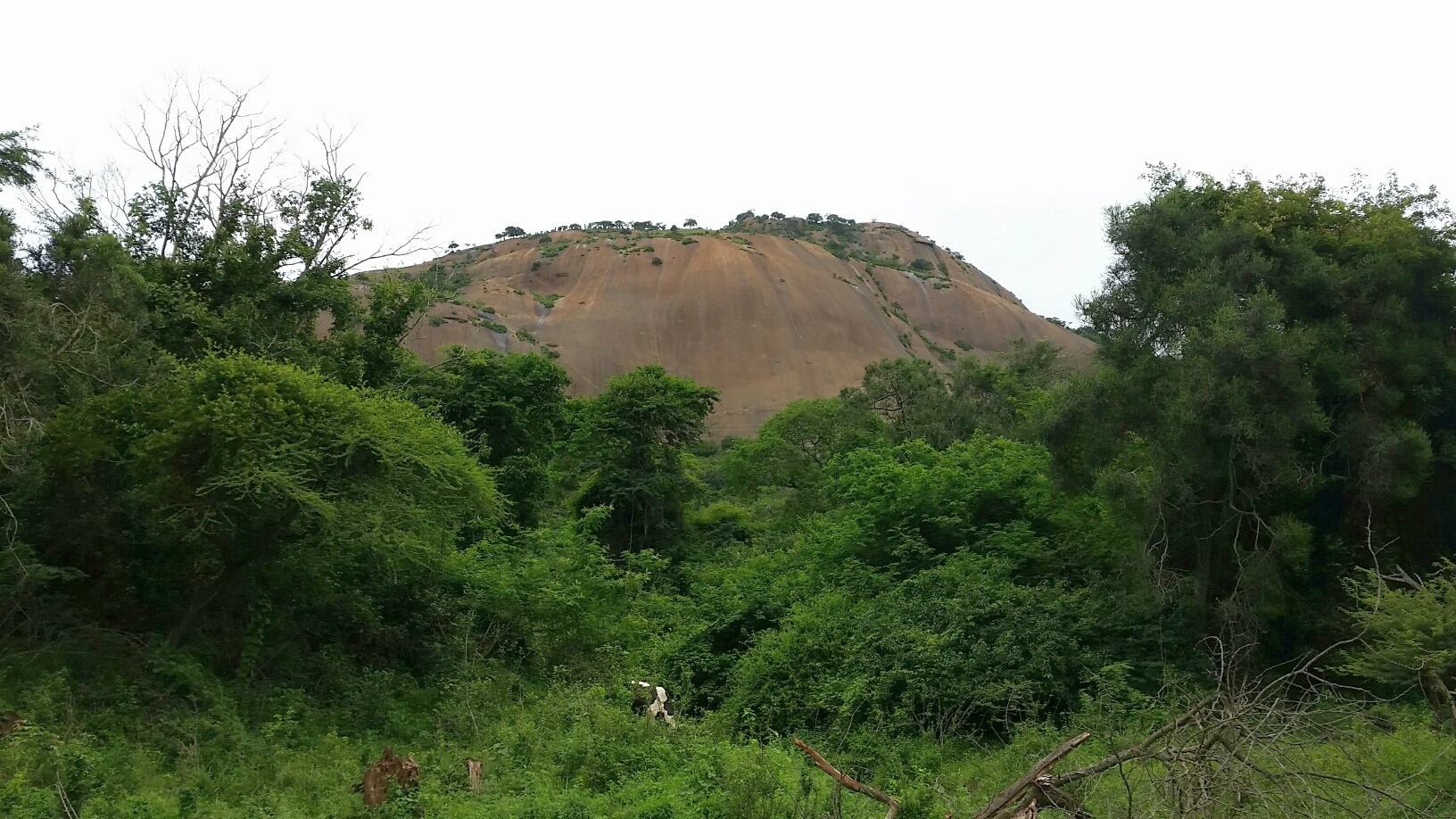 KwaXimba Conservancy, Umgeni Valley. – BirdLife eThekwini KZN