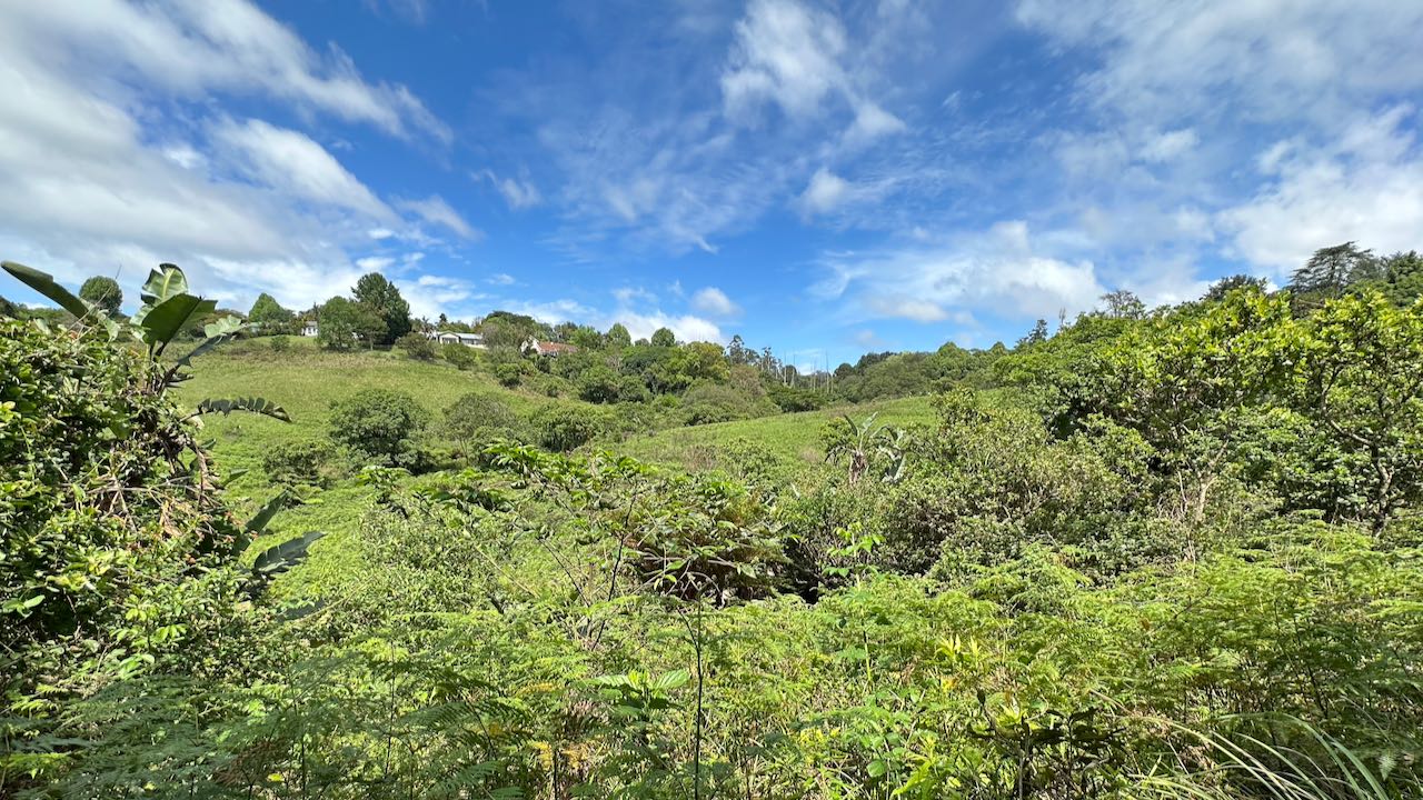 BeKZN Walk | Juniors at Springside Nature Reserve – BirdLife eThekwini KZN