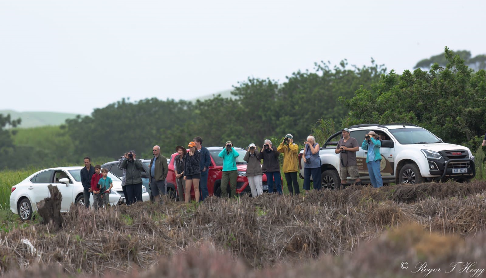 BeKZN Walks |Sappi Stanger – BirdLife eThekwini KZN