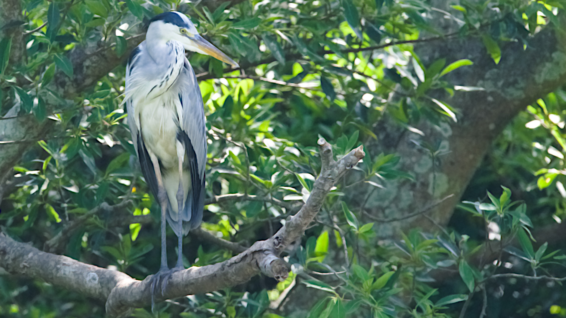 BeKZN Sit-In | Amanzimtoti Bird Sanctuary – BirdLife eThekwini KZN