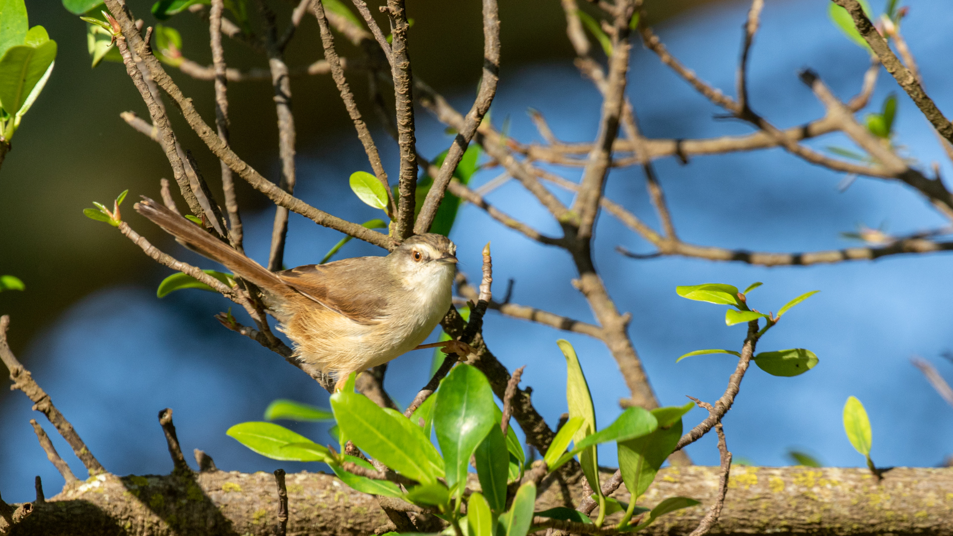 BeKZN Sit-In | Palmiet Nature Reserve – BirdLife eThekwini KZN