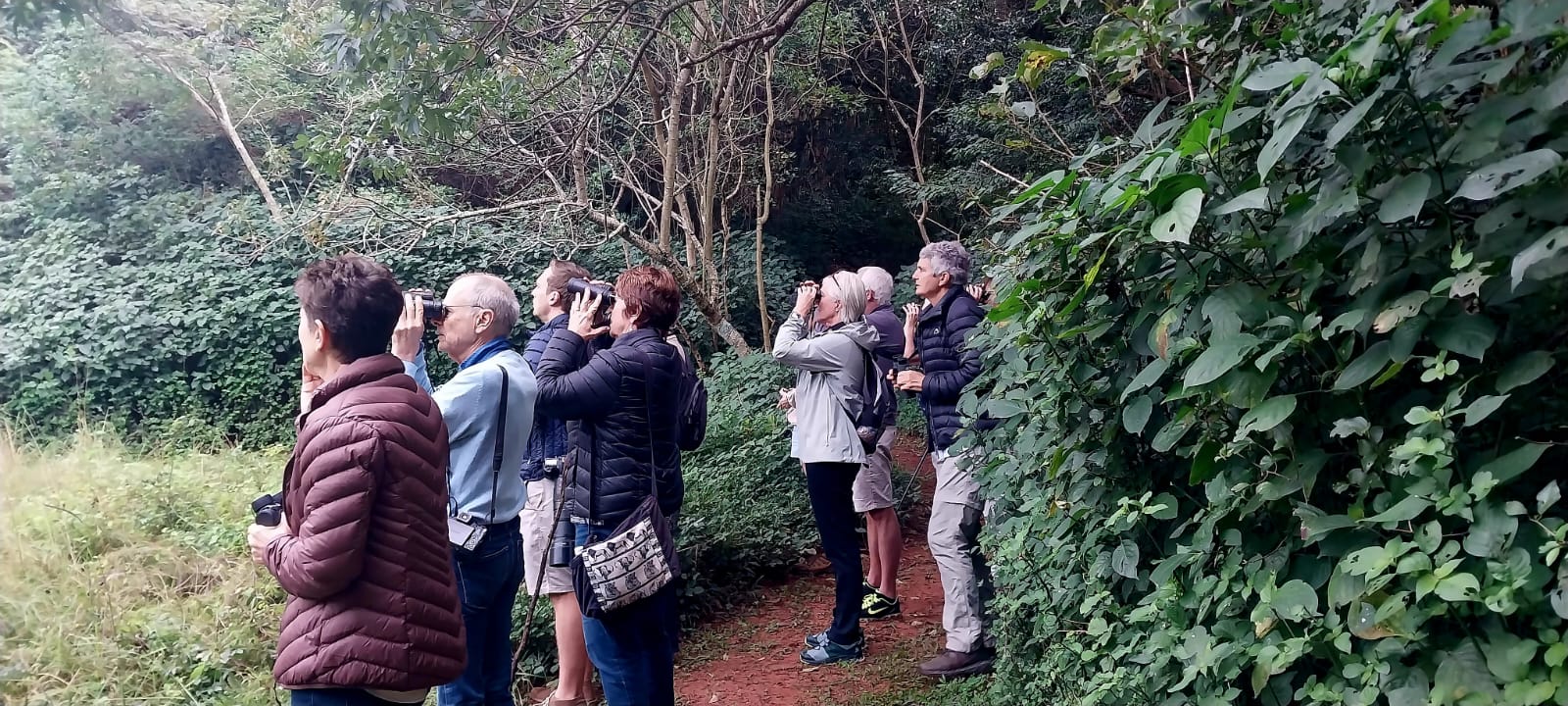 BeKZN Walks…Pigeon Valley Nature Reserve – BirdLife eThekwini KZN