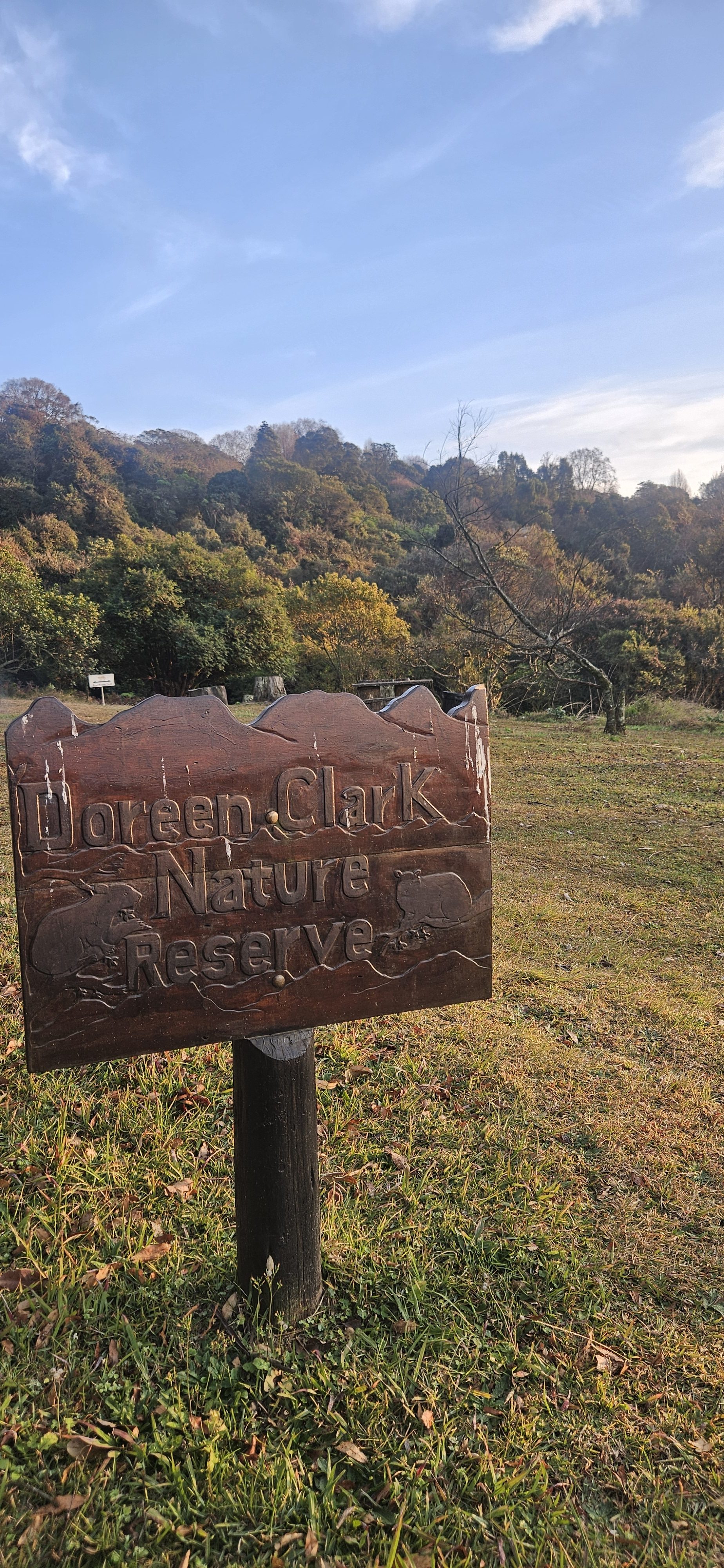 BeKZN DAY TRIPPING 🗺️| DOREEN CLARK NATURE RESERVE – BirdLife eThekwini KZN